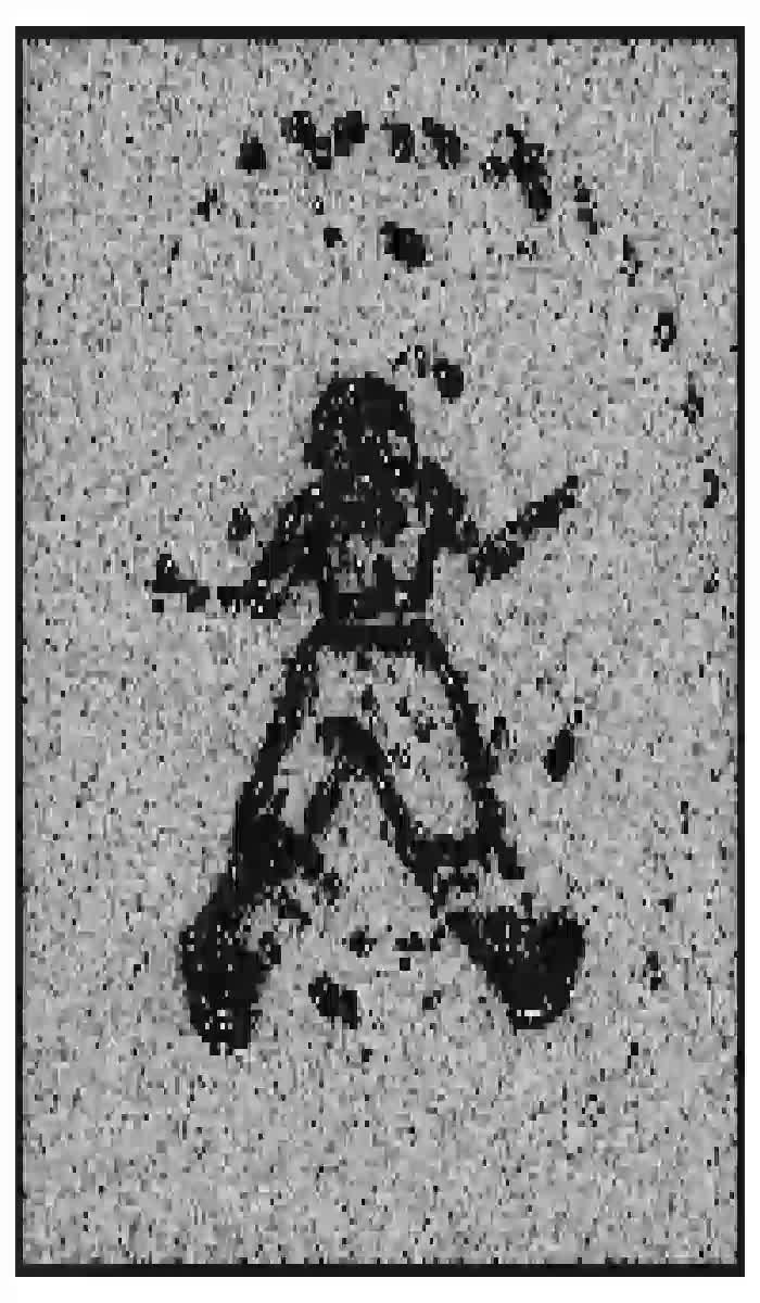 Pixel Art Dancer 004 Zeroone The Cultural Distribution Engine