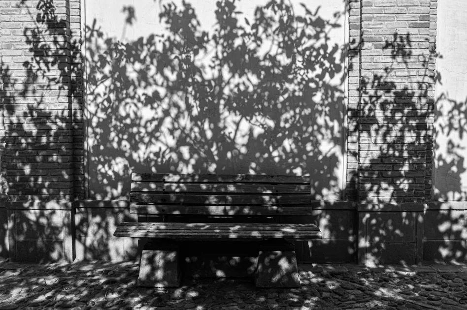 Every bench is a sad poem | zeroone - the cultural distribution engine